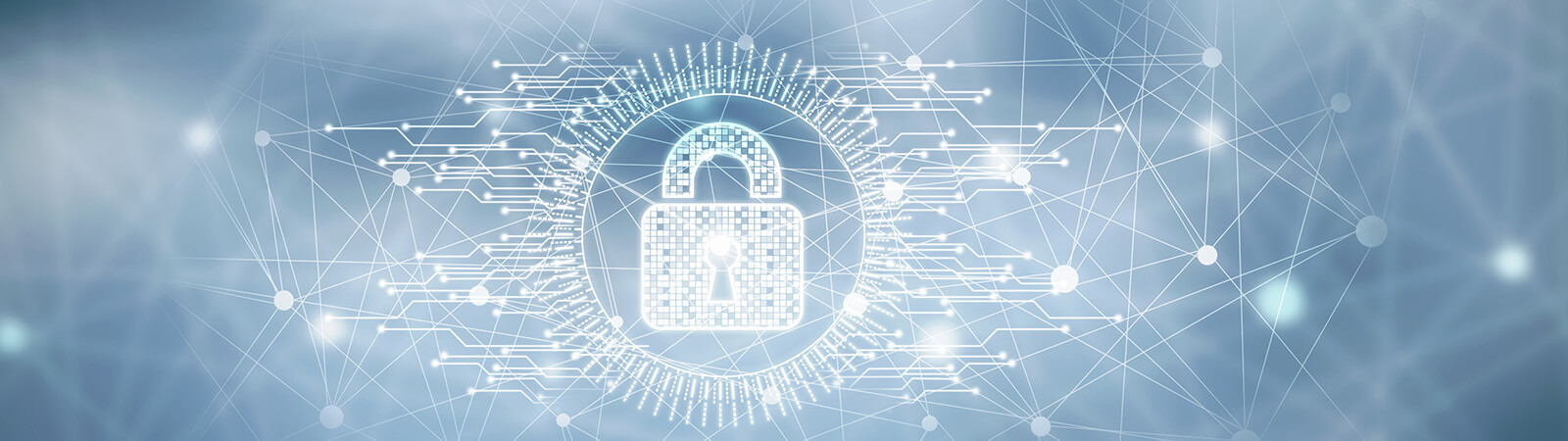 Privacy Policy | ISD | Software Development